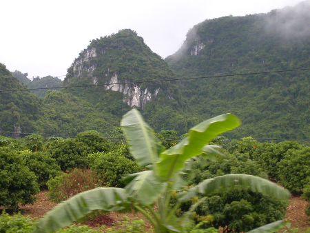 Environment in Spanish | Terms & Example Sentences - Lesson | Study.com