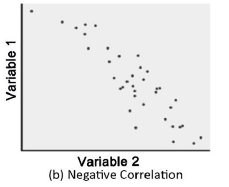 What is the difference between a positive correlation and a negative ...