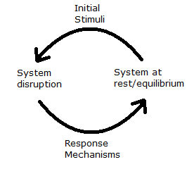 Comparing Negative and Positive Feedback Mechanisms Practice | Biology ...