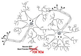 Neurogenesis Definition, History & Examples | Study.com