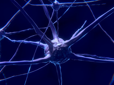 Neuroplasticity: Examples | What is Neuroplasticity? - Lesson | Study.com