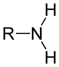 Organic Molecules | Definition, Functional Groups & Examples - Lesson ...