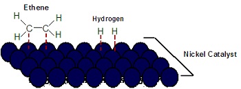 Hydrogenation of Alkenes | Definition, Mechanism & Examples - Lesson ...