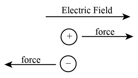 The direction of an electric field is the direction of the force that ...