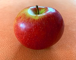 Polya's Problem Solving Process | Overview & Steps - Lesson | Study.com