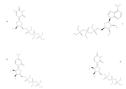 Identifying Nucleotides | Chemistry | Study.com