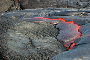Primary Succession After Volcano Eruption