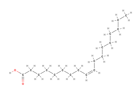 Categorizing the Four Biological Macromolecule Monomers Based on an ...