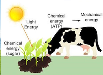 Energy Transfer | Definition, Types & Examples - Lesson | Study.com