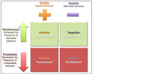 Behavioral Approaches in Therapy - Lesson | Study.com