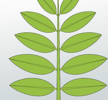Angiosperms Definition, Types & Examples - Lesson | Study.com