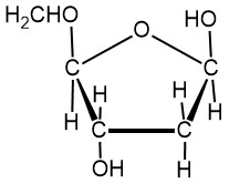 Deoxyribose, the sugar that composes DNA is? Draw the structure ...