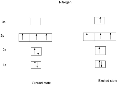 Create The Atomic Orbital Diagram For Nitrogen General