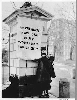 Analyzing the Women's Suffrage Movement Practice | U.S. History ...