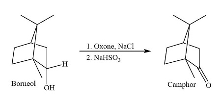 Show the complete synthesize of camphor. [{Image src ...