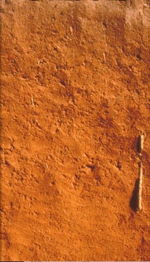 Soil Profile | Definition, Development & Layers - Lesson | Study.com