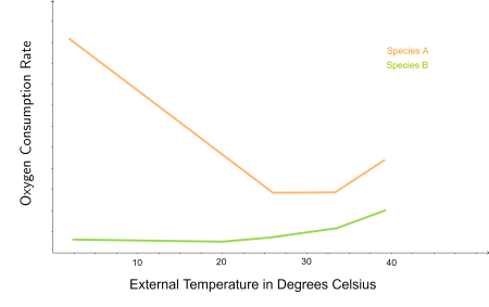 Comparing How Organisms Use Energy to Grow & Reproduce through Physical ...