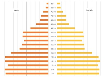 Analyzing a Population Pyramid Practice | Biology Practice Problems ...
