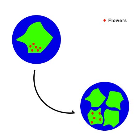 Comparing & Contrasting Mutation, Genetic Drift, and Migration Practice ...
