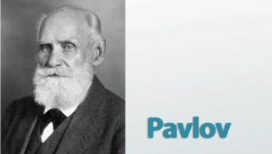 Learning Definition, Process & Types - Lesson | Study.com