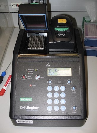 Quantitative Analysis of Infectious Diseases in Molecular Biology ...