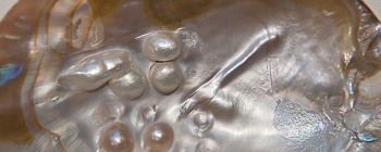 Gem Definition, Types & Properties - Lesson | Study.com