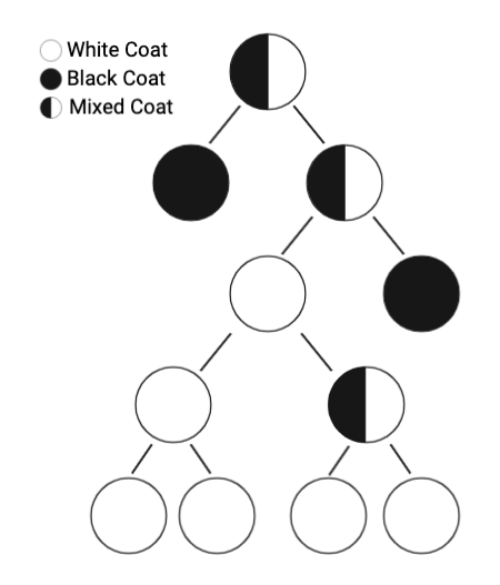 Analyzing How Natural Selection Acts in Populations as a Phenotype ...