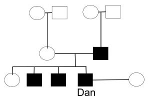 Practical Application: How to Create a Family Pedigree | Study.com