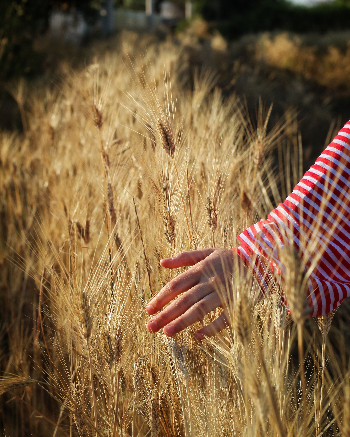 Phoniness in The Catcher in the Rye | Definition & Quotes - Lesson ...