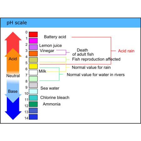 Acid Deposition | Definition, Causes & Effects - Video & Lesson ...