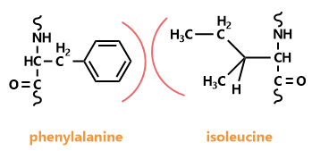 What type of interaction would you expect between the following groups ...