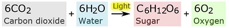 Dynamic & Chemical Equilibrium | Definition & Examples - Lesson | Study.com