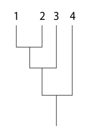 Comparing Morphological Similarities between DNA and Protein Sequences ...