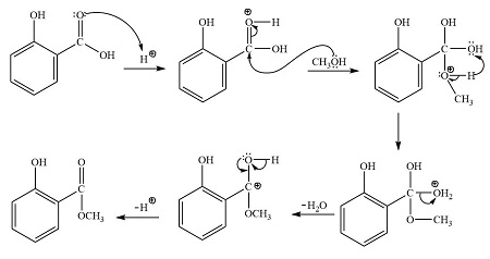 Solved: Answer all questions 5. Write a mechanism for the reaction of ...