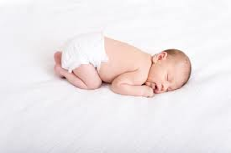 Embryonic Stage | Definition & Development - Lesson | Study.com
