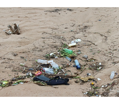 Biomagnification | Definition & Examples - Lesson | Study.com