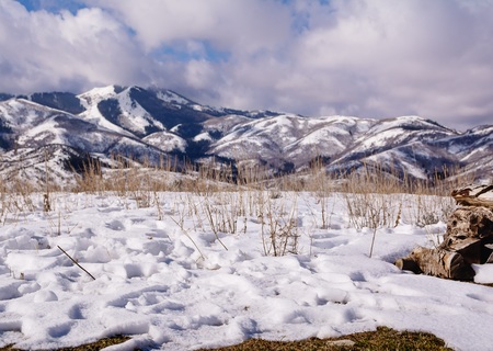 Differences of Biotic & Abiotic Factors in Climate Regions - Lesson ...