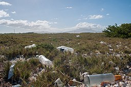 Environmental Problems in Spanish-Speaking Countries | Study.com