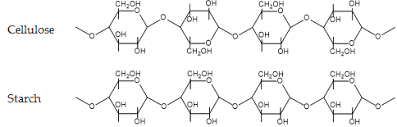 Hydrolysis of Carbohydrates | Definition & Examples - Lesson | Study.com