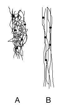 Elastomers | Definition, Properties & Examples | Study.com