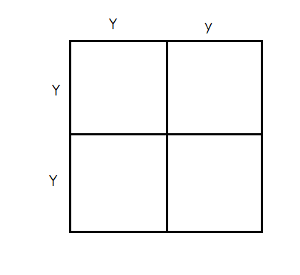 Blank Punnett Square Beta Thalassemia And Genetic Counseling