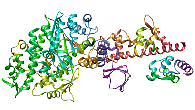 Categorizing the Macromolecule from a Drawing Practice | Biology ...