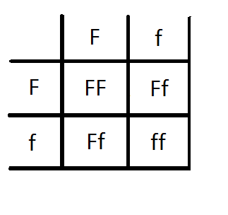 In humans, six fingers (F) is the dominant trait, five fingers (f) is ...