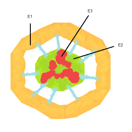 Cofactors vs. Coenzymes | Definition, Differences & Examples - Lesson ...