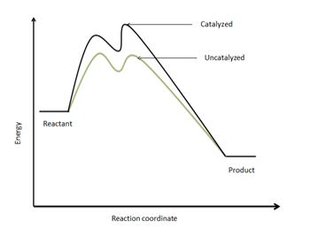 Determining How a Catalyst Increases Rate of a Reaction by Lowering the ...