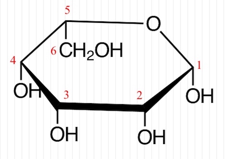 Drawing the Haworth Projection of an Aldose from Its Fischer Projection ...