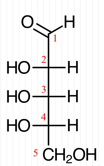 Drawing the Haworth Projection of an Aldose from Its Fischer Projection ...