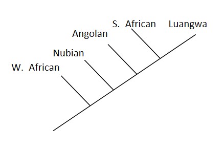 Comparing Traits and Molecular Data to the Structure of a Phylogenetic ...