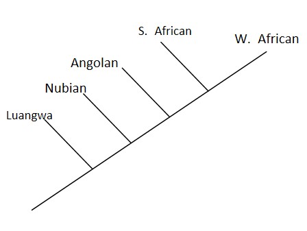 Comparing Traits and Molecular Data to the Structure of a Phylogenetic ...