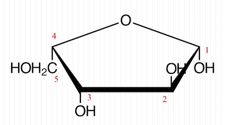 Drawing the Haworth Projection of an Aldose from Its Fischer Projection ...